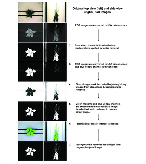 Image Segmentation Workflow And Corresponding Examples Of Top View