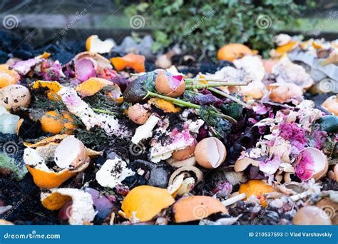 Natural Decomposition Of Food And Organic Waste Stock Image Image Of