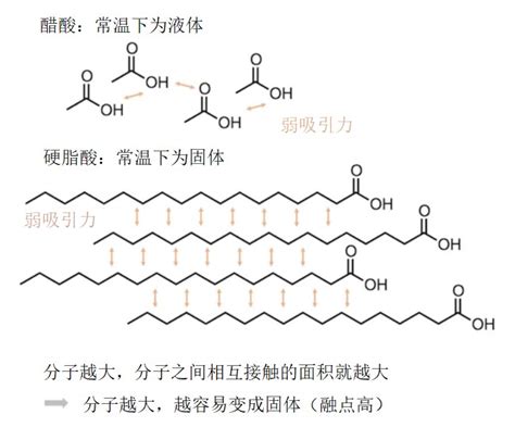 橄榄油的主要成分谈谈组成脂肪的分子以及脂和油的区别 化学空间 Chem Station