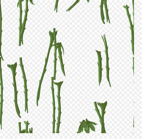 矢量植物根茎PNG图片素材下载 图片编号9774545 PNG素材网