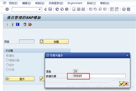 修改sap标准字段文本描述 Cmod增强cmod 字段增强 Csdn博客 修改sap标准字段文本描述 Cmod增强cmod 字段增强 Csdn博客
