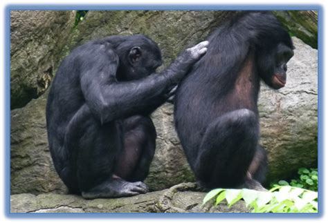 Cooperation Wo Calculation Good For You Good For Your Rep Mind