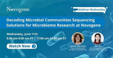 Decoding Microbial Communities Sequencing Solutions For Microbiome Research At Novogene Novogene