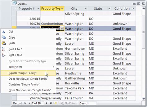 microsoft access 2010 lesson 27 sorting and filtering text based fields