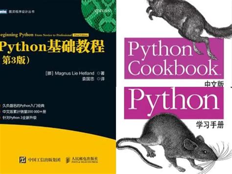 32 岁全职妈妈自学 Python 如何入门 Csdn博客