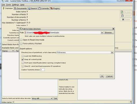 Viewing The Lucene Index Files In Liferay