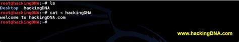 Hackingdna Shell Scripting On Kali Linux