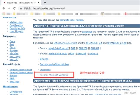搭建一个apachephpmysql的网站apache Mysql Php建站 Csdn博客