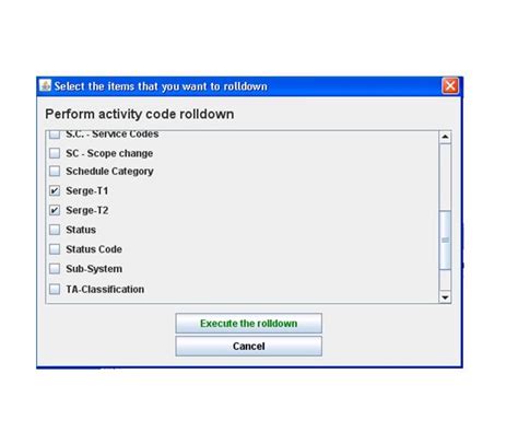 P Activity Code Cleanup Utility