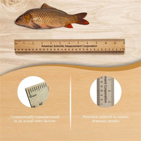 Trick Ruler For Size Enhancement Prank The Discount Adult Shop