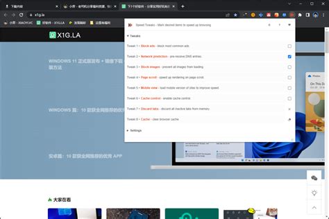 扩展 Speed Tweaks 优化网页加载速度 小羿
