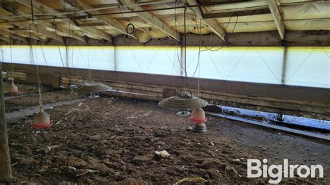 Brooder Heaters And Poultry Drinkers Agriculture Bigiron