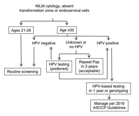 Where Is My Endocervical Component Pathadvantage