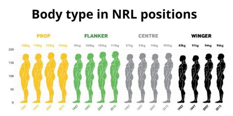 Rugby League Positions By Body Type Number Name