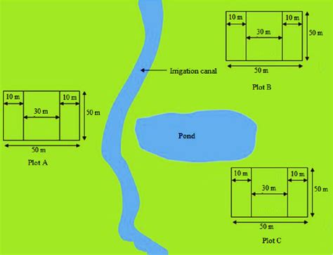 Field Design Showing Study Plots Download Scientific Diagram