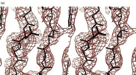 Crystal Structure Of A Bacterial Chitinase At 23 Å Resolution Structure