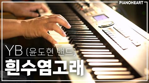 Yb 윤도현 밴드 흰수염고래 피아노 연주와 악보 정보 난이도 중급 원곡처럼 웅장하게 제작 간주 쪼금 어려움 피아노하트 Youtube