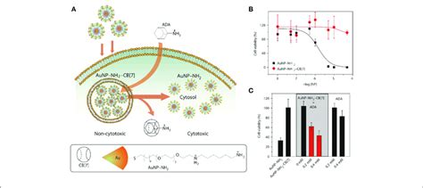 A Schematic Illustration For The Use Of Intracellular Download Scientific Diagram