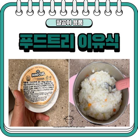 홈메이드 스타일 유아식 맛집 푸드트리 후기 네이버 블로그
