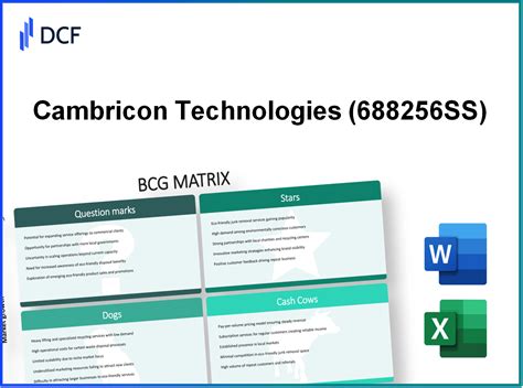 Cambricon Technologies 688256ss Bcg Matrix Analysis