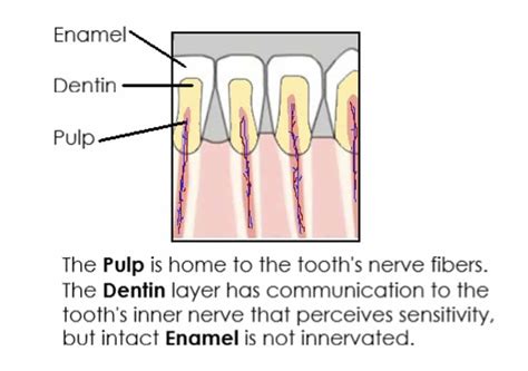 Interproximal Reduction Ipr High Line Orthodontics