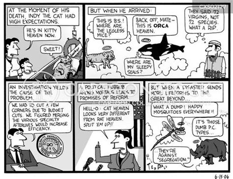 72 Virgins Cartoons And Comics Funny Pictures From Cartoonstock