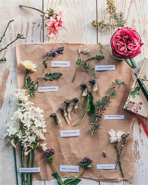 Cottagecore Aesthetic With Various Flowers
