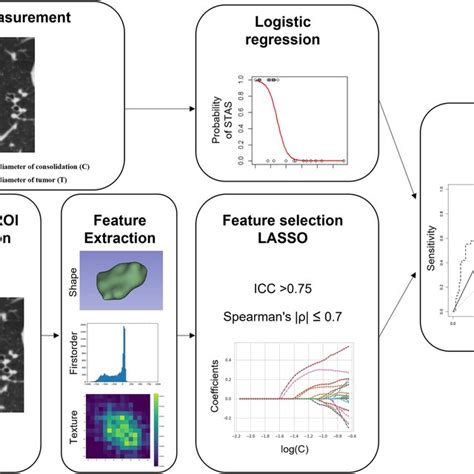workflow of the predictive model development download scientific diagram