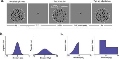 Figure 1 From Characterizing The Effects Of Multidirectional Motion