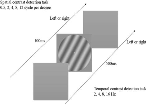 Contrast Experiment Stimuli Upper Part Timeline For Spatial Contrast