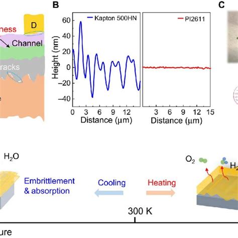 Overall Assessment Of Flexible Rf Transistors A Limitations Of The Download Scientific