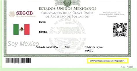 ¿quieres Aprenderte El Curp Éste Es El Significado De Cada Elemento