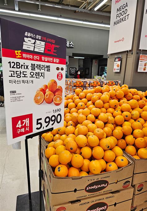 홈플러스 홈플런 마트장보기 두칸 반반딸기 저렴해요 네이트뷰