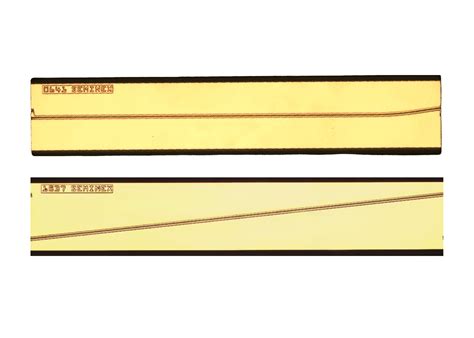 Semiconductor Optical Amplifier Soa