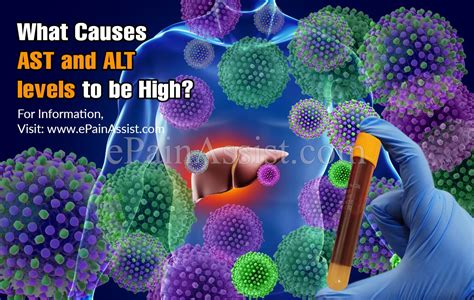 What Causes AST And ALT Levels To Be High