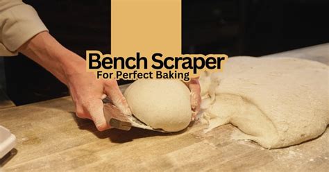 Best Bread Proofing Boxes For Perfectly Rising Dough Every Time