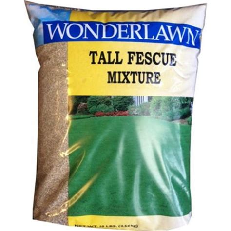 Barenbrug 25269 3 Lbs Tall Fescue Grass Seed