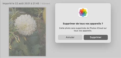 comment trouver et supprimer les doublons de photos sur votre mac