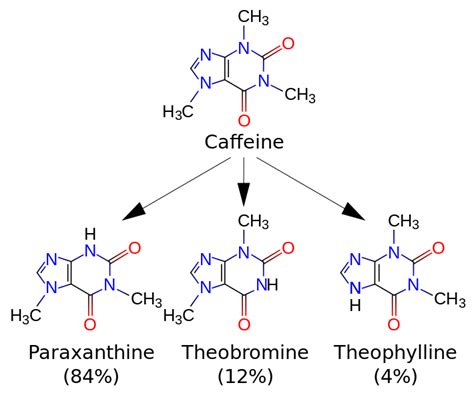 How It Effects The Body Caffeine The Molecule