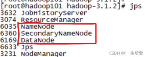 启动集群时datanode进程没有启动 执行jps没有datanode的解决方法 亲测有效incompatible clusterids in
