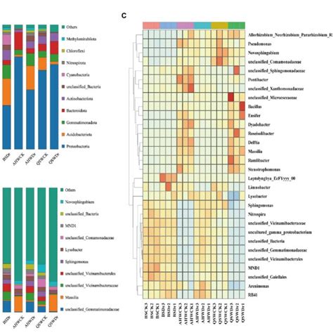 Differences In The Composition Of Bacterial Communities In Different Download Scientific