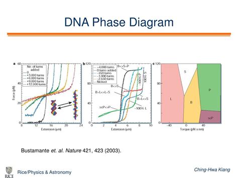 Ppt Single Molecule Manipulation Experiments Of Biological Molecules I Introduction And