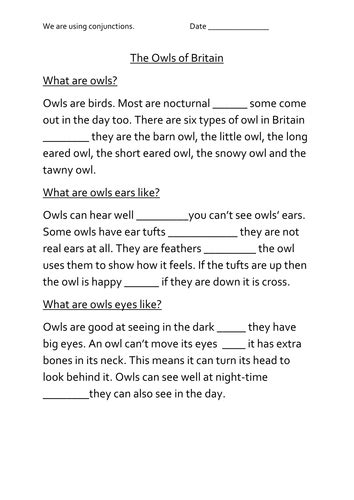 Owls Conjunctions And Identification Sheet Teaching Resources