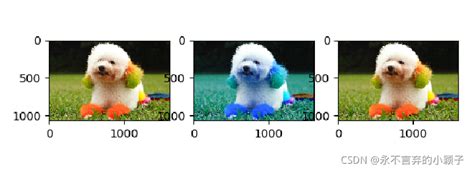 Pytorch学习笔记（5）———图像的加载读取方式pytorch 读取图片 Csdn博客