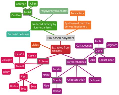 Bio Based Polymers Used In Food Packaging Applications Download Scientific Diagram