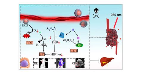Upconversion Nanoparticle Based Smart Drug Delivery Platforms For