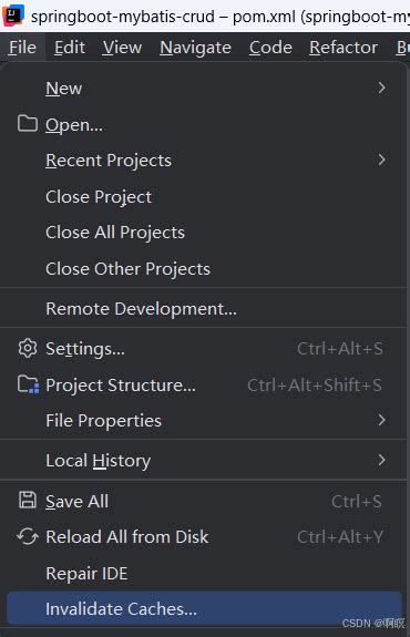 Idea创建springboot自动创建lombok无效果（解决）springboot Lombok不生效 Csdn博客