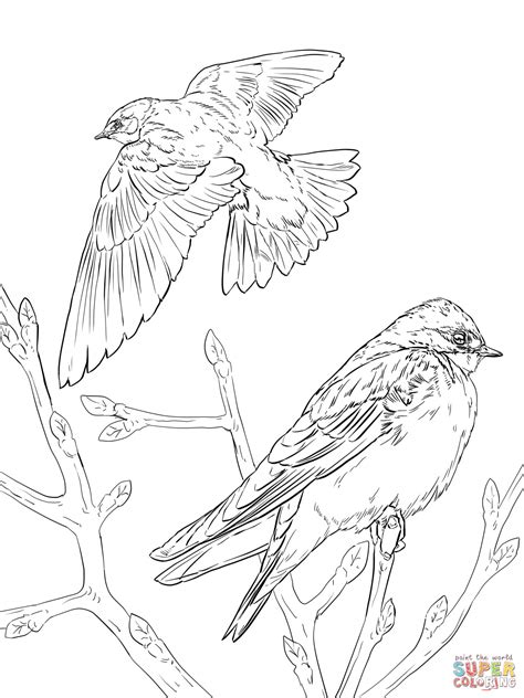 Bird In Tree Drawing At GetDrawings Free Download