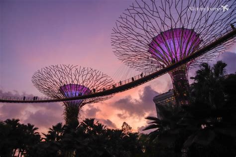 싱가포르 여행 가든스바이더베이 방문 꿀팁드려요 네이버 블로그