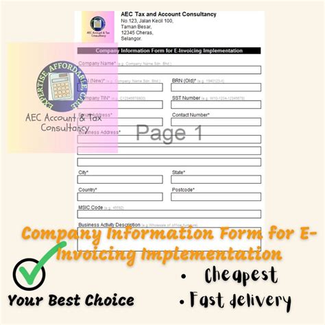 Company Information Form For E Invoicing E Invoice Implementation